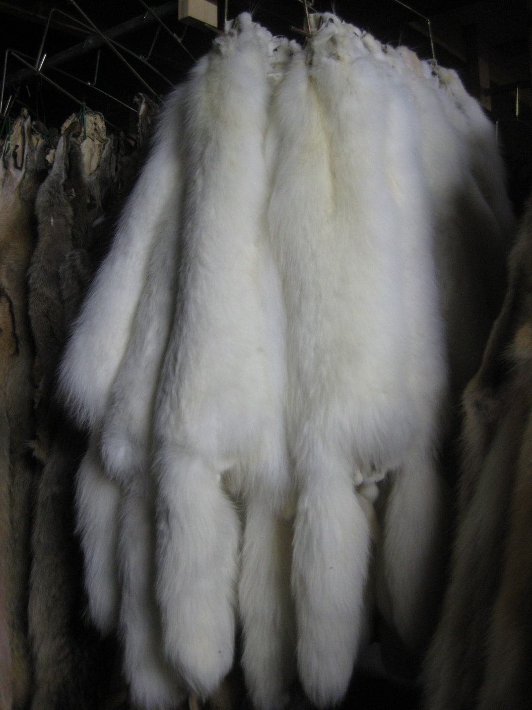 Tanned Arctic Fox Hide - Etsy