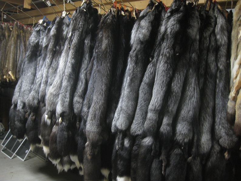 Tanned Silver Fox Hides - Etsy