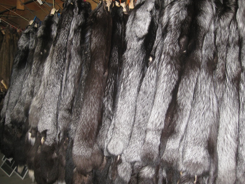 Tanned Silver Fox Hides - Etsy