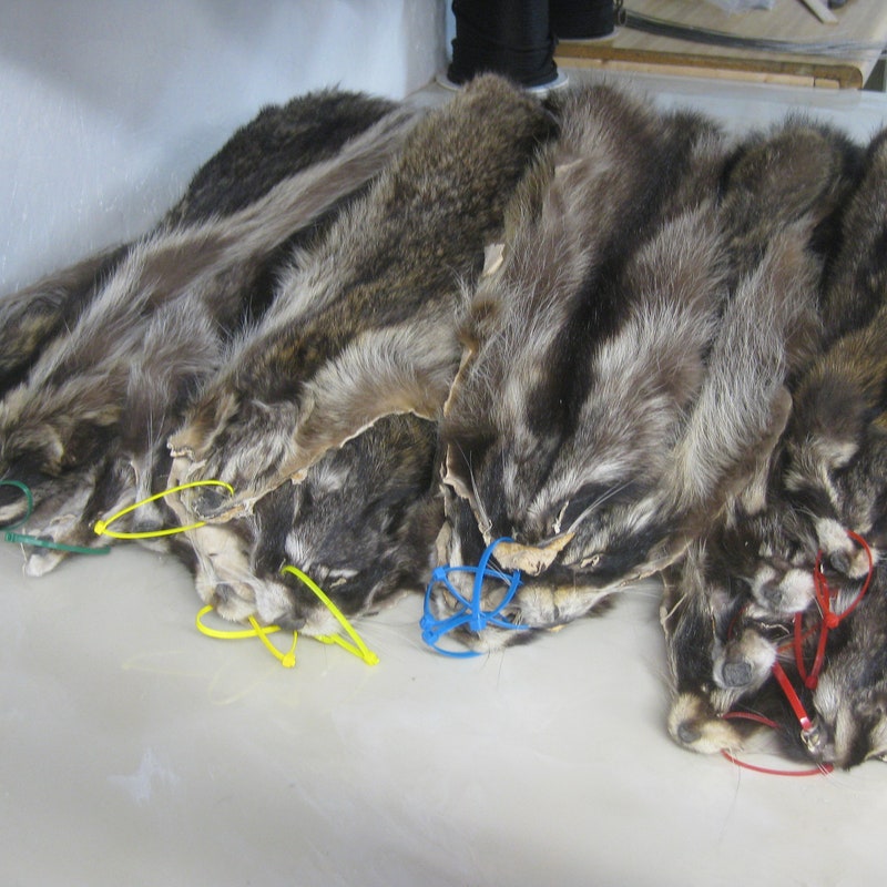 Real Animal Skin - Etsy