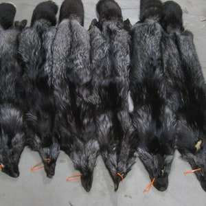 Tanned Silver Fox Hides - Etsy