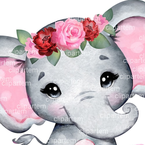 Maroon Pink Floral Crown Elephant Baby Girl Elephant PNG - Etsy