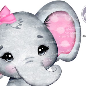 Watercolor Girl Elephant Clip Art, Very Cute Little Peanut,pink Gray ...