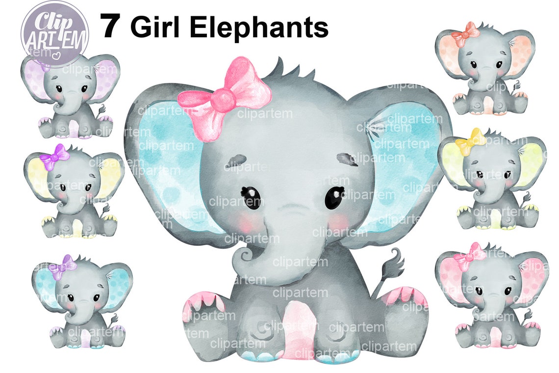 7 Girl Elephants With Bows Clip Art. Bundle of Colorful Girl Baby ...