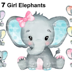 7 Girl Elephants With Bows Clip Art. Bundle of Colorful Girl Baby ...