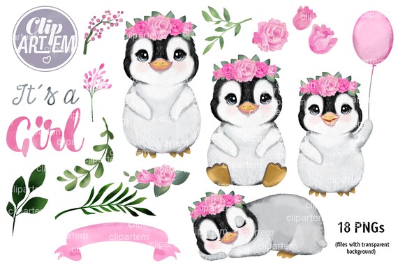 Essential Girl Penguin Bundle Set 18 PNG Clip Art Super Cute - Etsy Canada