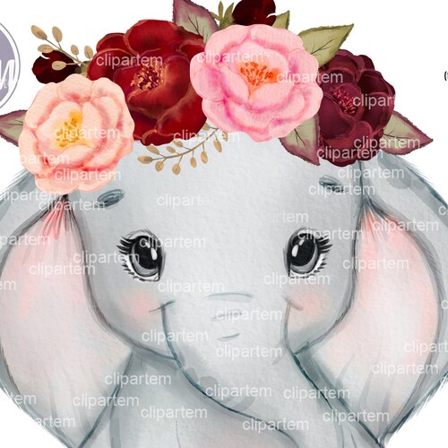 Watercolor Girl Elephant Clip Art Floral Little Peanutpink - Etsy