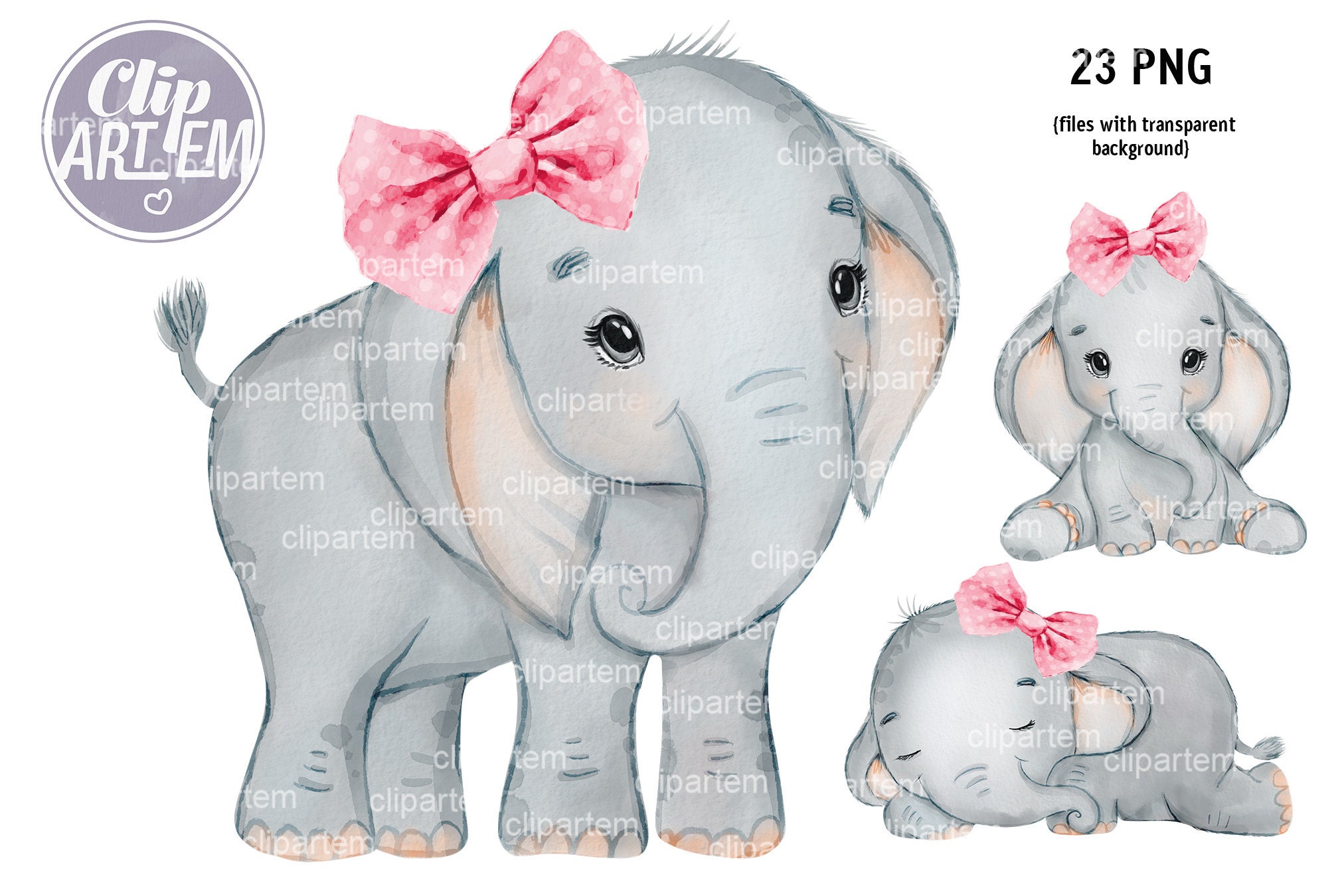 Elephants Watercolor Red Pink Roses Florals, Boy, Girl and Gender ...
