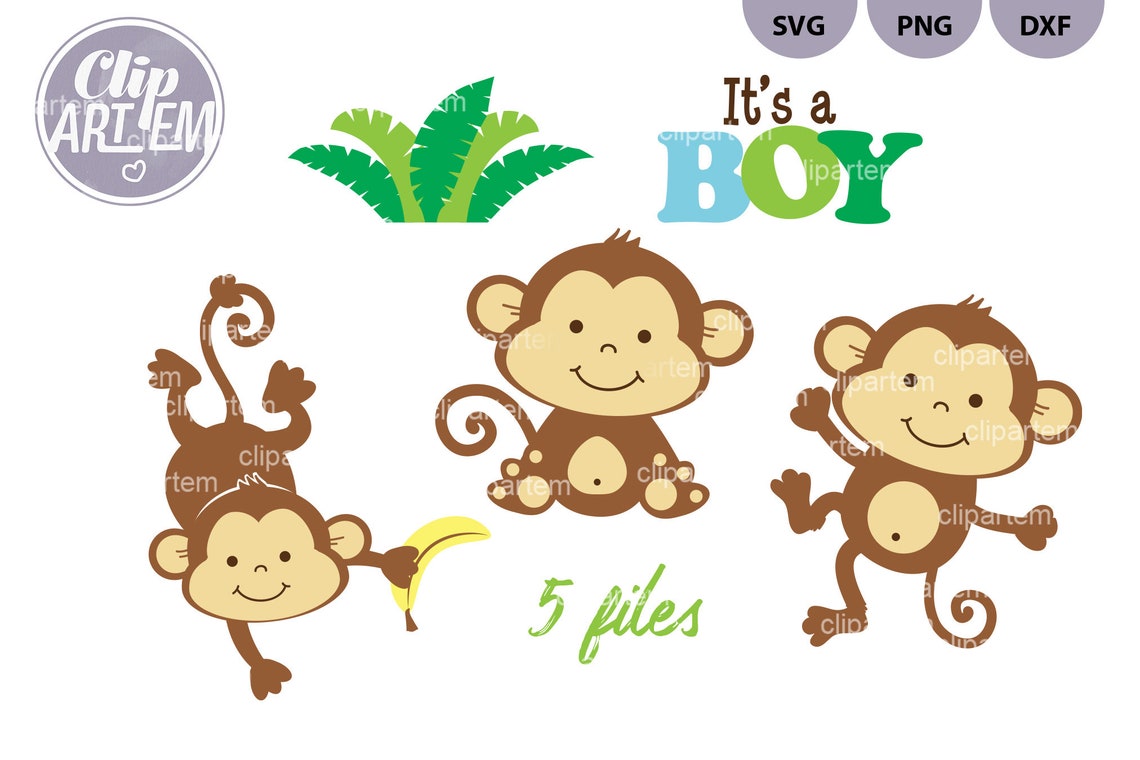 Monkey SVG Boy Baby Monkey Vector Cutting File Digital File - Etsy
