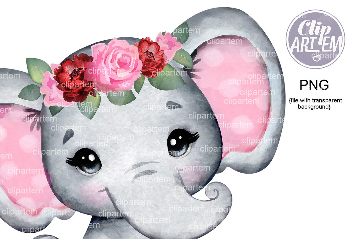 Maroon Pink Floral Crown Elephant Baby Girl Elephant PNG Clipart ...
