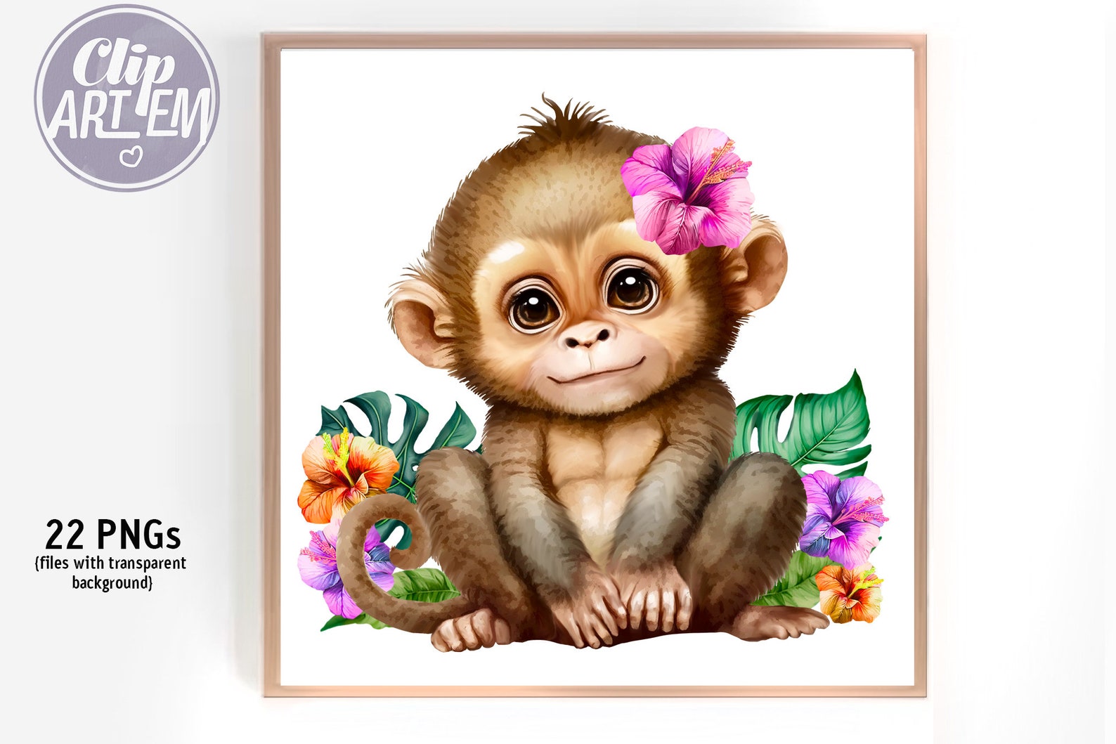 Monkey Clip Art BUNDLE Watercolor Baby Young Monkey Boy and - Etsy