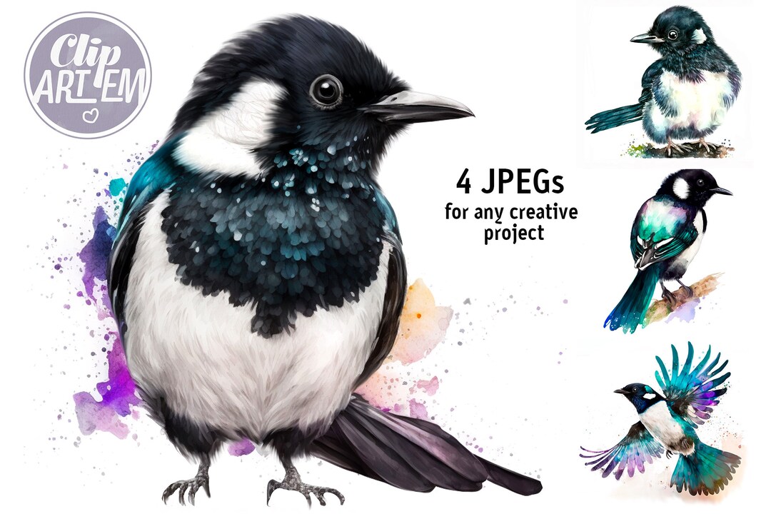 Magpie Images, Bundle of Watercolor Magpie Wall Art, Decor, Colorful ...