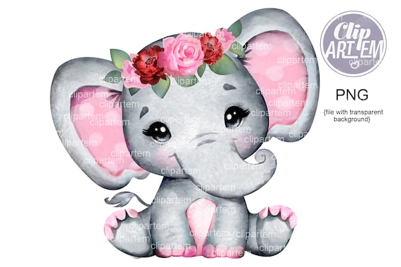 Maroon rosa floral corona elefante bebé bebé elefante PNG | Etsy España