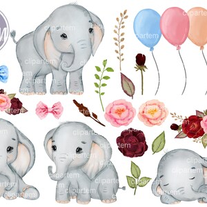 Elephants Watercolor Red Pink Roses Florals, Boy, Girl and Gender ...