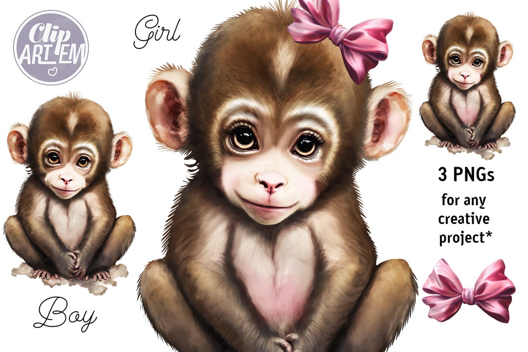 Junge und Mädchen Affen Clip Art, realistischer Affe Schimpanse Mädchen ...