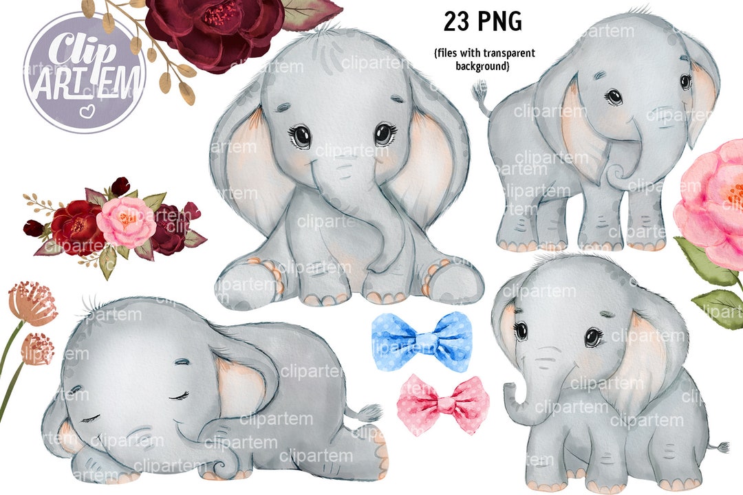 Elephants Watercolor Red Pink Roses Florals, Boy, Girl and Gender ...