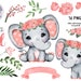 Coral Peach Elephant Floral Essential Bundle Set of Watercolor Flowers ...