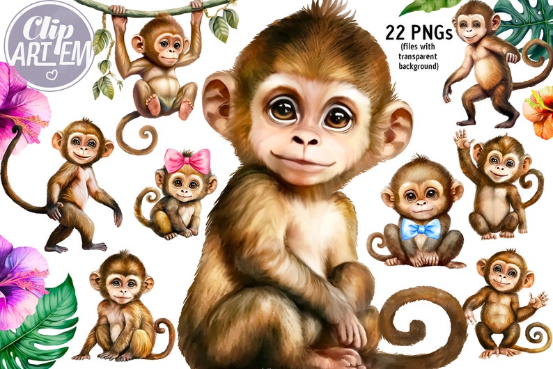 Monkey Clip Art BUNDLE Watercolor Baby Young Monkey Boy and - Etsy