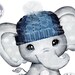 Winter Boy Elephant Clip Art, Very Cute Little Peanut, Dark Blue Hat ...