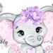 Purple Pink Baby Elephant With Large Size Flowers on the Head, Floral ...