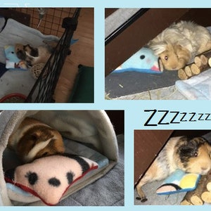 Various Cozy Pillows / Oreillers Douillets Variés - Etsy