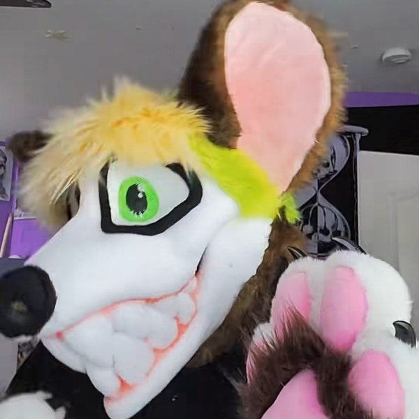 Opossum Fursuit - Etsy