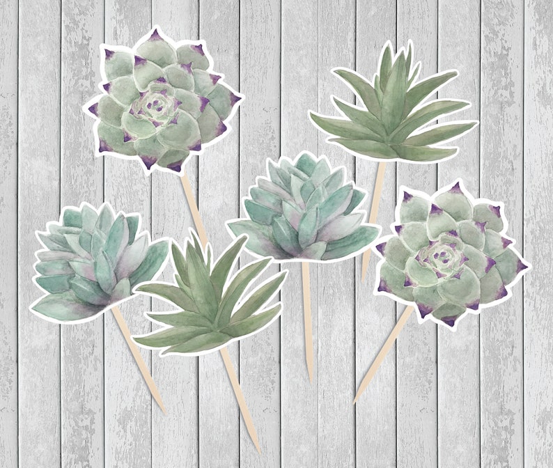 Succulent Cupcake Toppers Instant Download Printable File - Etsy