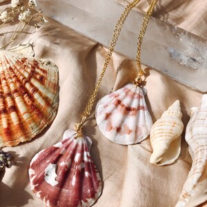 The Birth of Venus Scallop Shell Necklace - Etsy