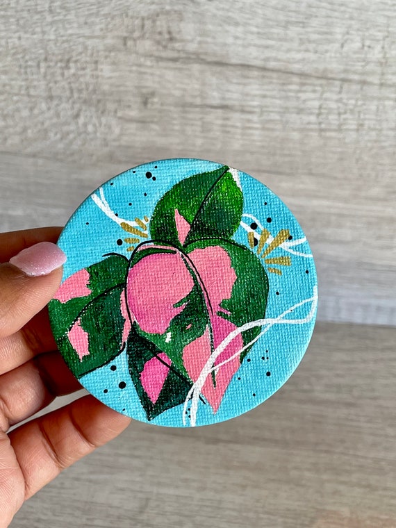 Pink Princess Philodendron Plant Magnets Philodendron Philo Pink Pink ...