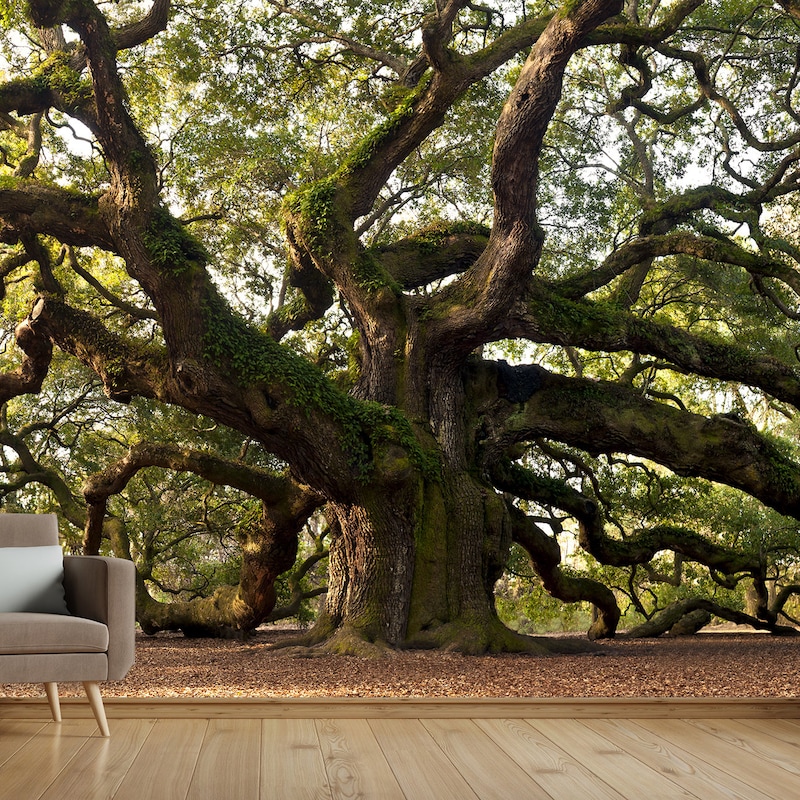 Angel Oak - Etsy