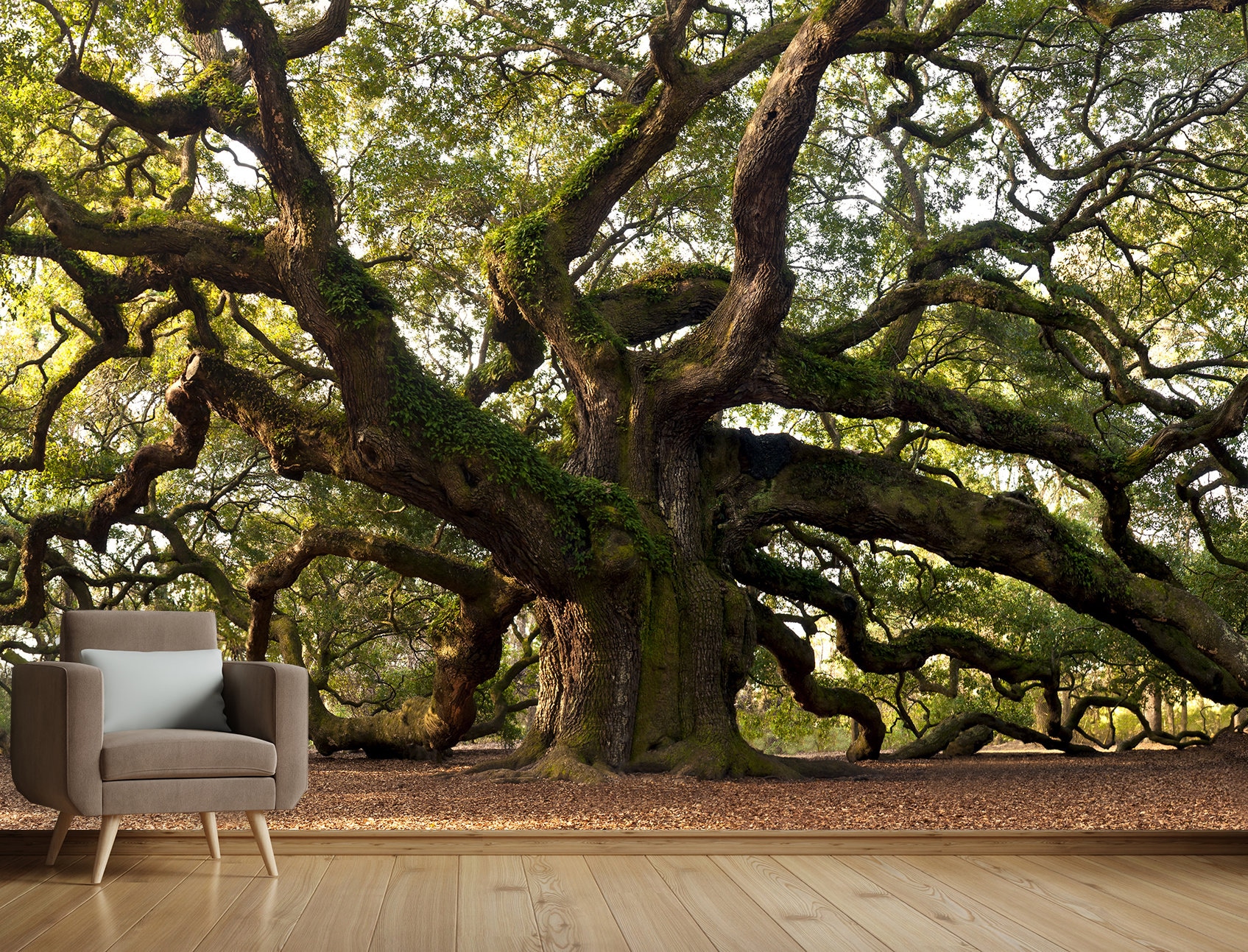Oak Tree Forest Wallpaper