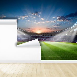 Football Stadium Mural Wall Art & Wallpaper Modern Football Soccer ...