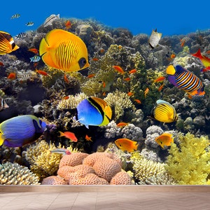 Mural Wallpaper Sea Fish Wall Art Decor Coral Ocean Decoration - Etsy