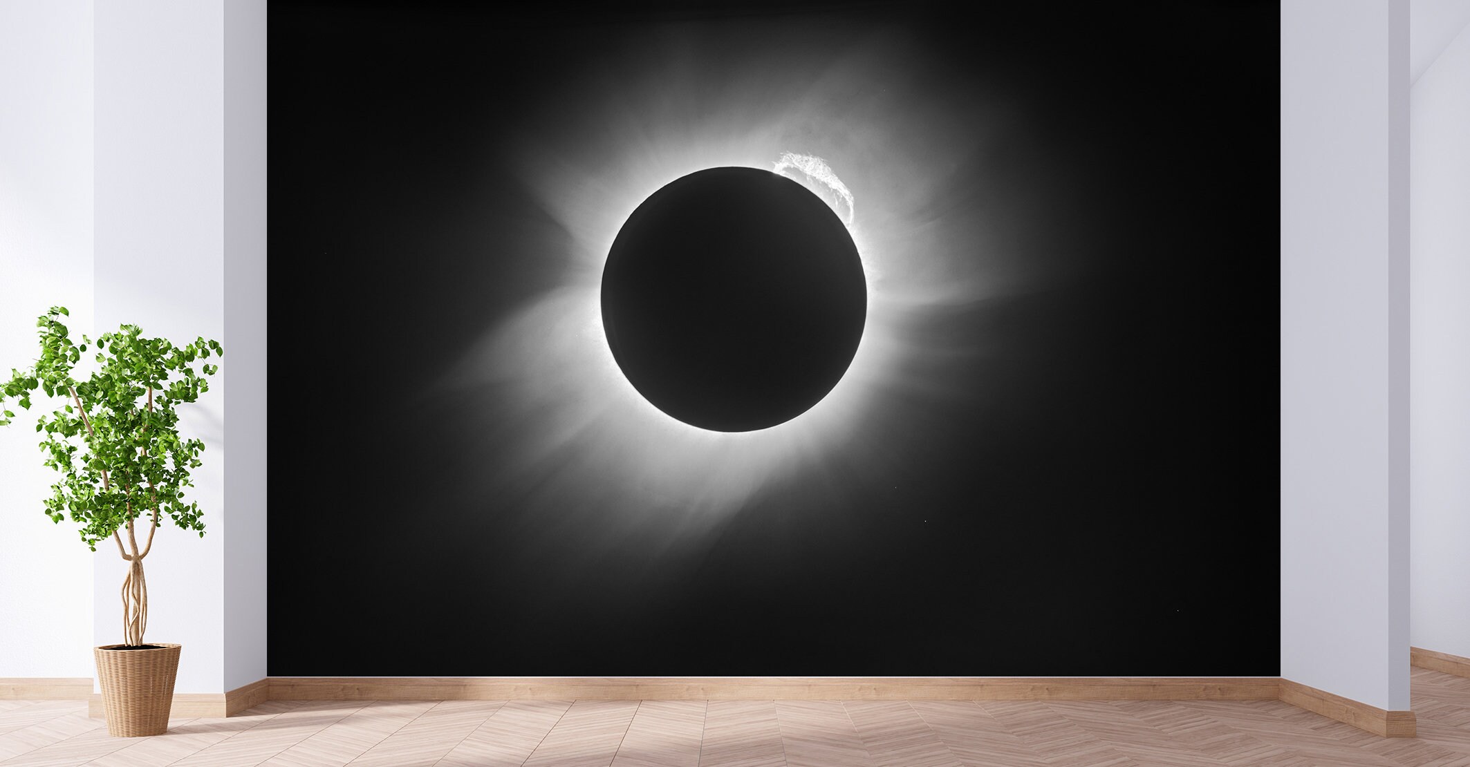 Solar Eclipse Wallpaper Nature Mural & Decor Solar Eclipe Home - Etsy