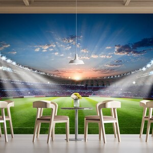Football Stadium Mural Wall Art & Wallpaper Modern Football Soccer ...