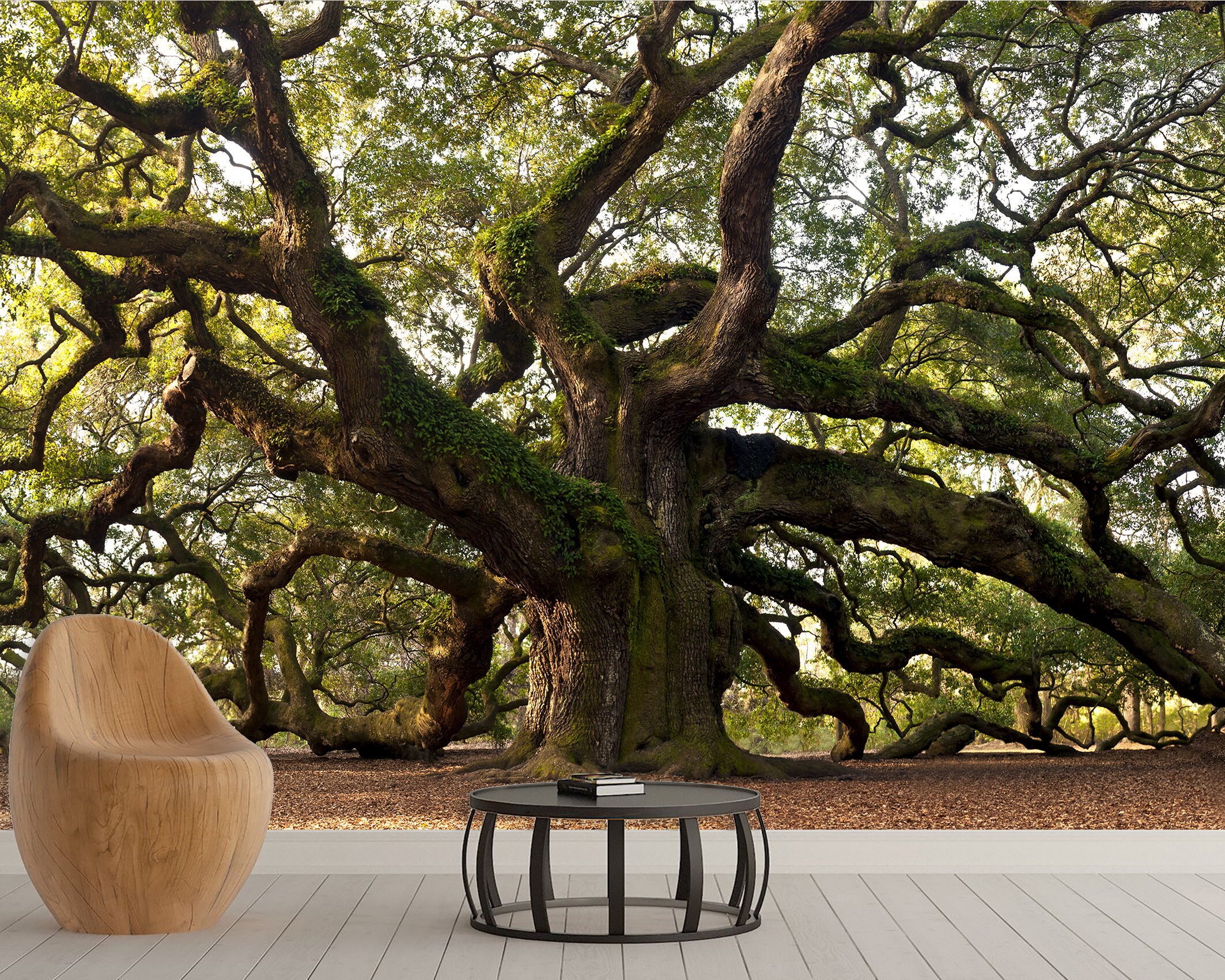 Oak Tree Wallpaper Angel Oak Tree Wallpaper Mural | Wallsauce US