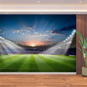 Football Stadium Mural Wall Art & Wallpaper Modern Football Soccer ...