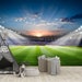 Football Stadium Mural Wall Art & Wallpaper Modern Football Soccer ...
