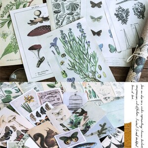 36pcs Nature Junk Journal Kit, Mushroon,butterfly Vinyl Scrapbook ...