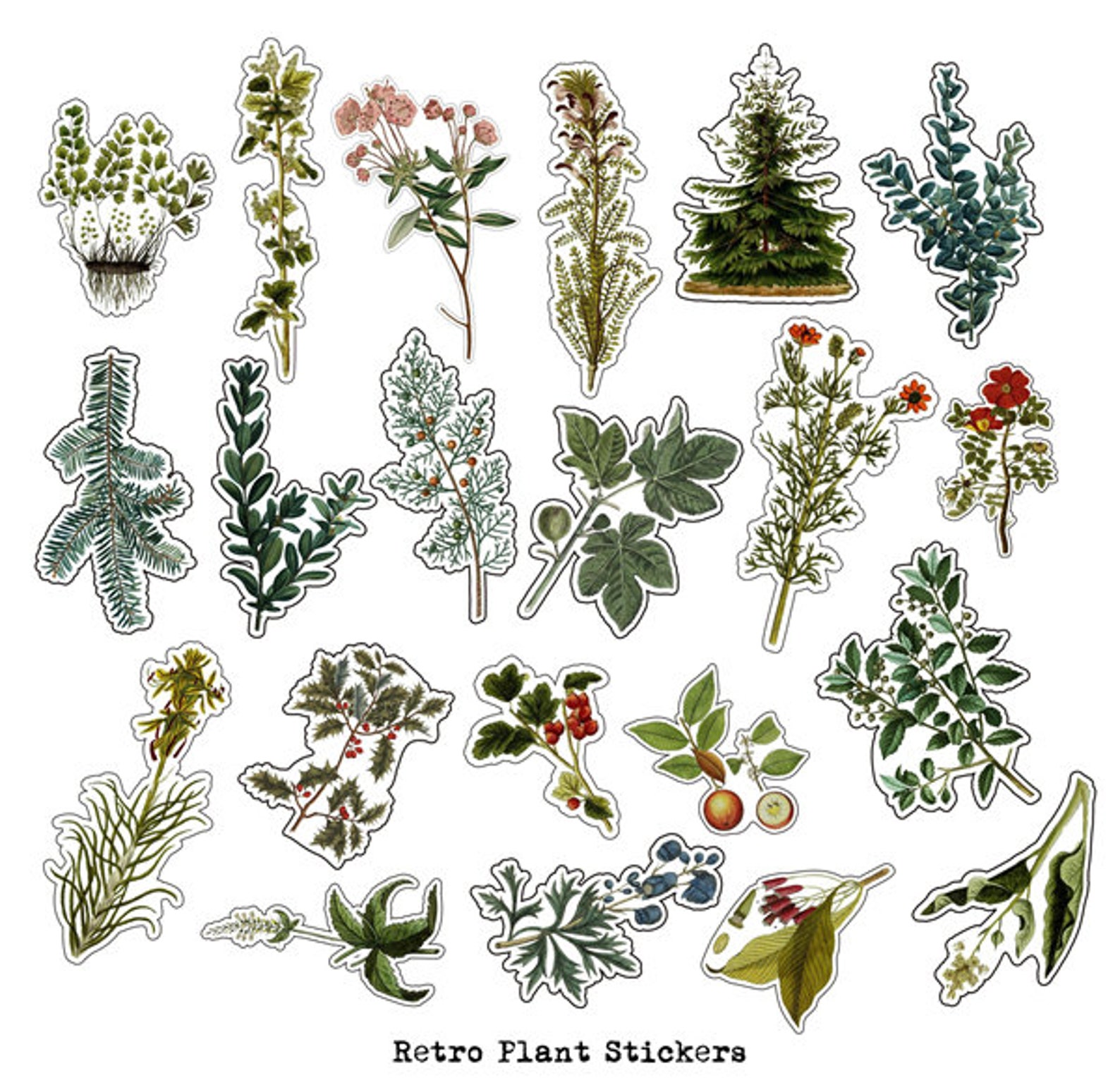 21pcs Little Plants Sticker Pack for Journalscrapbookvinyl - Etsy