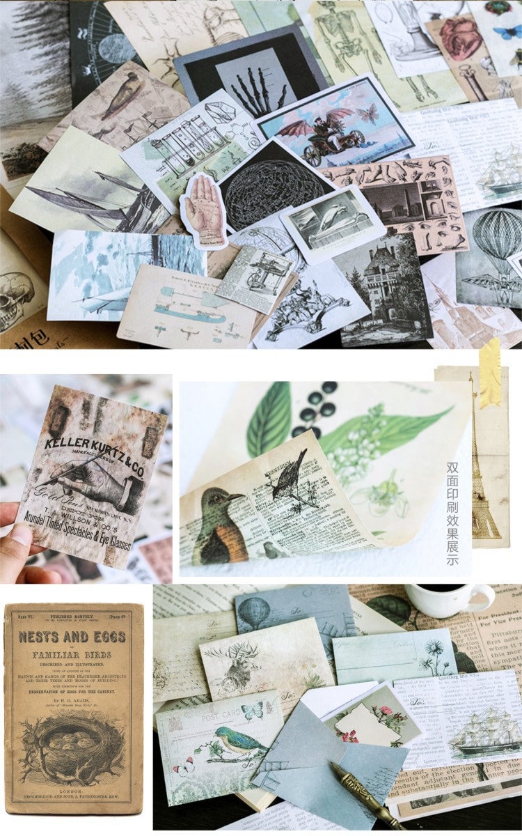 36pcs Specimen Junk Journal Kit Mushroonlab Vinyl Scrapbook - Etsy