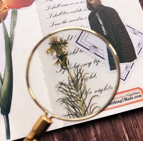 21pcs Little Plants Sticker Pack for Journalscrapbookvinyl - Etsy