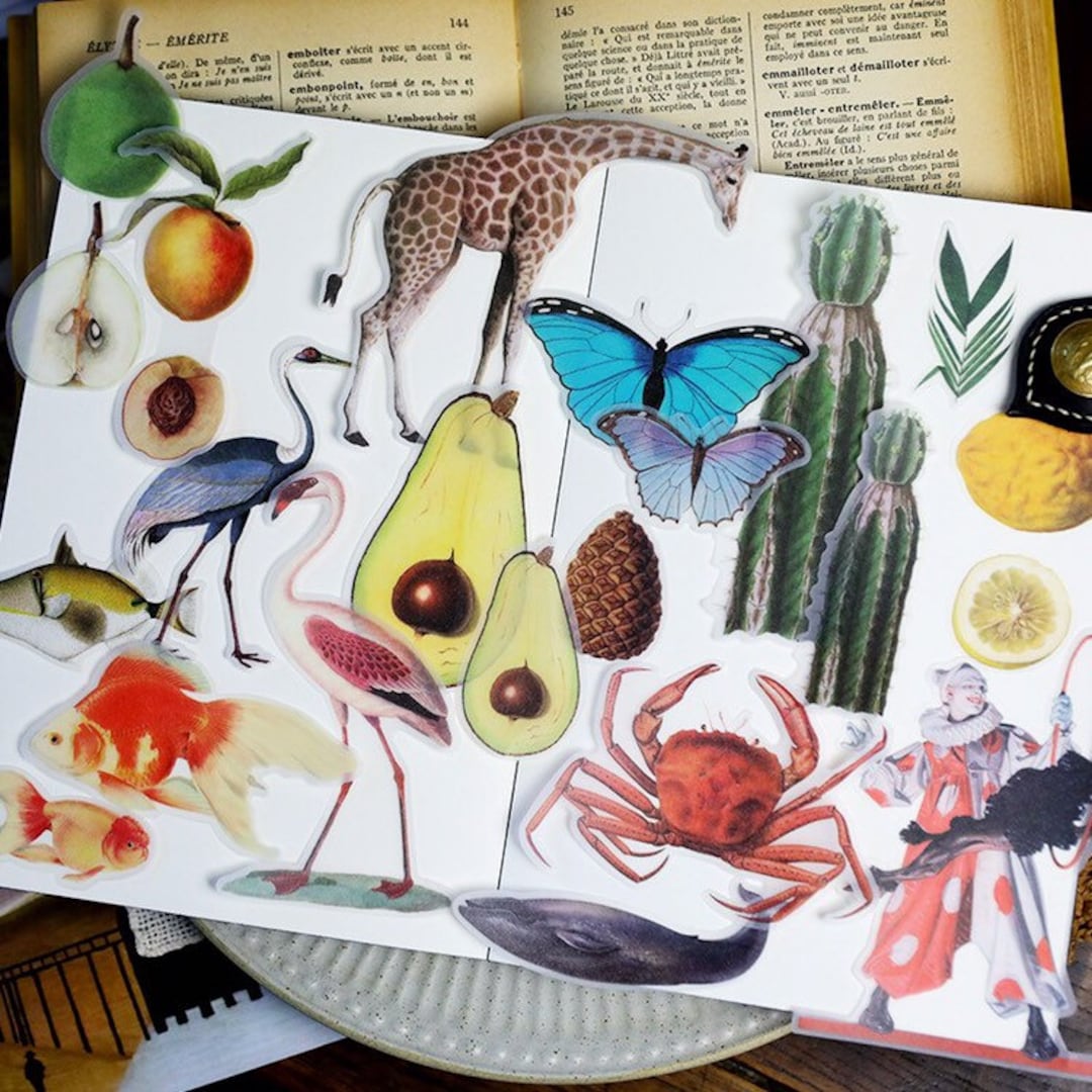 50pcs Biological Stickers Pack, Junk Journal Kit, Vinyl Stickers ...