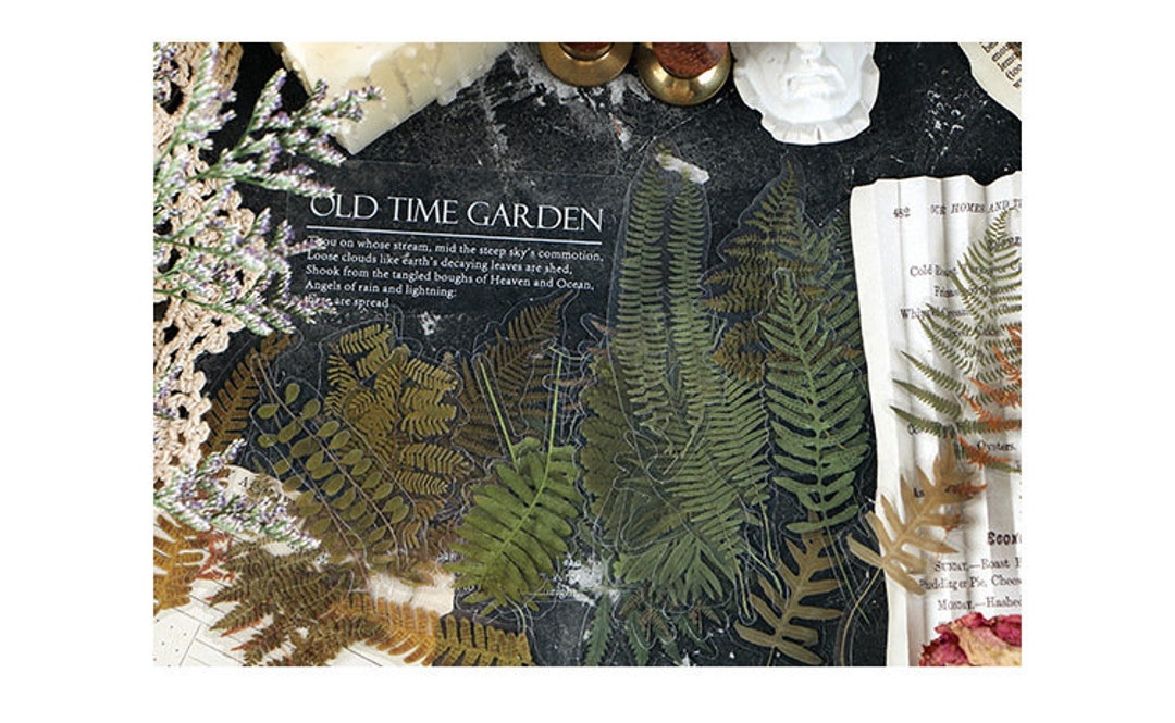 40pcs Bullet Journal Sticker Pack Scrapbook Laptop Clear - Etsy