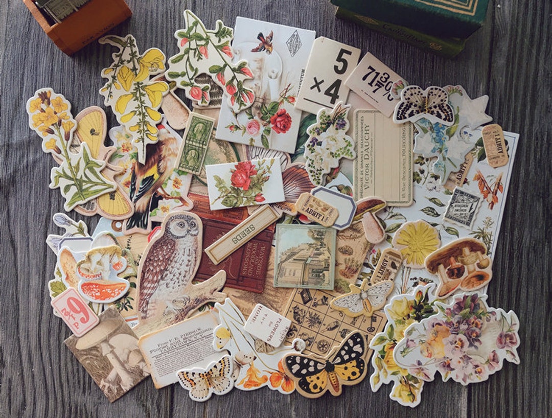 53pcs Botanical Scrapbook Paper Kit, Bird With Flowers Junk Journal Kit ...