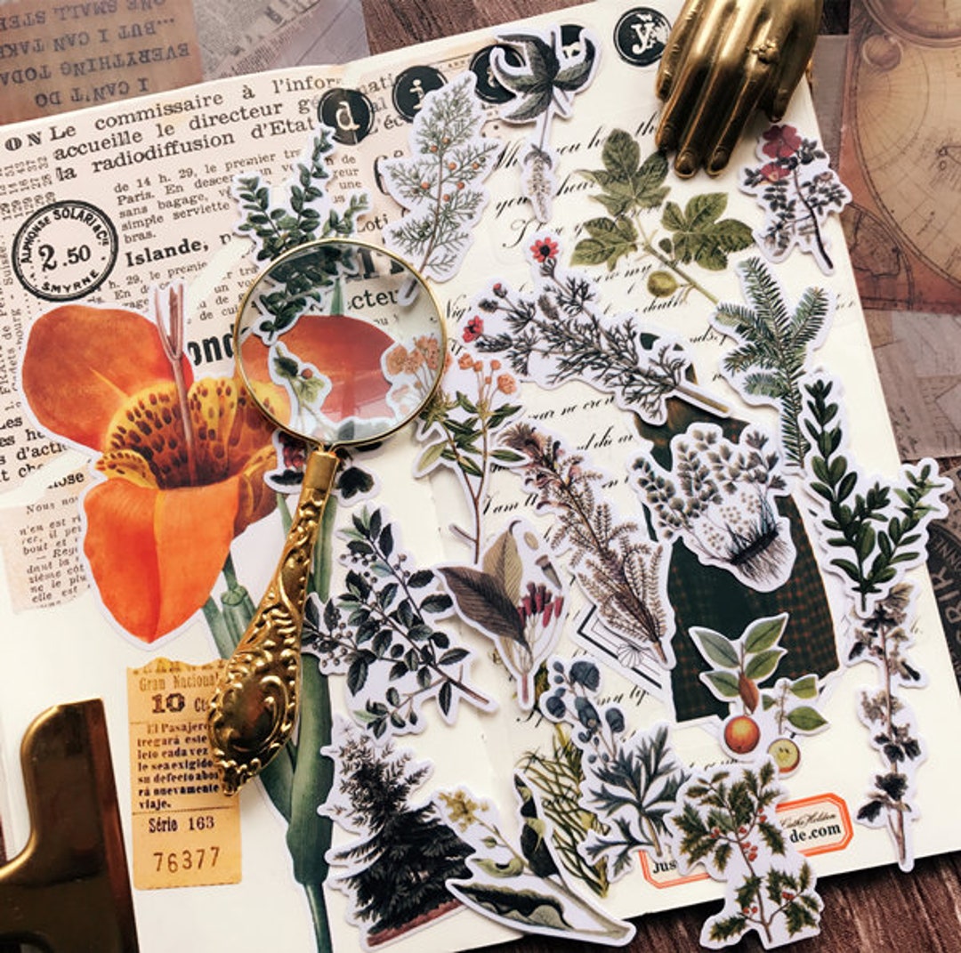 21pcs Little Plants Sticker Pack for Journal,scrapbook,vinyl Sticker - Etsy