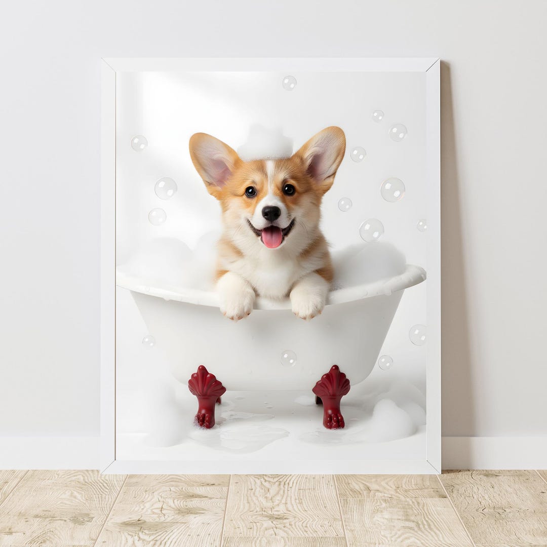 Corgi Pub Dog in the Bathtub | Cute Animal in Bath | Cute Dog Animal ...