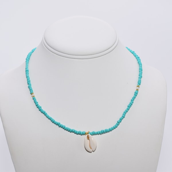 Blue Conch Shell - Etsy