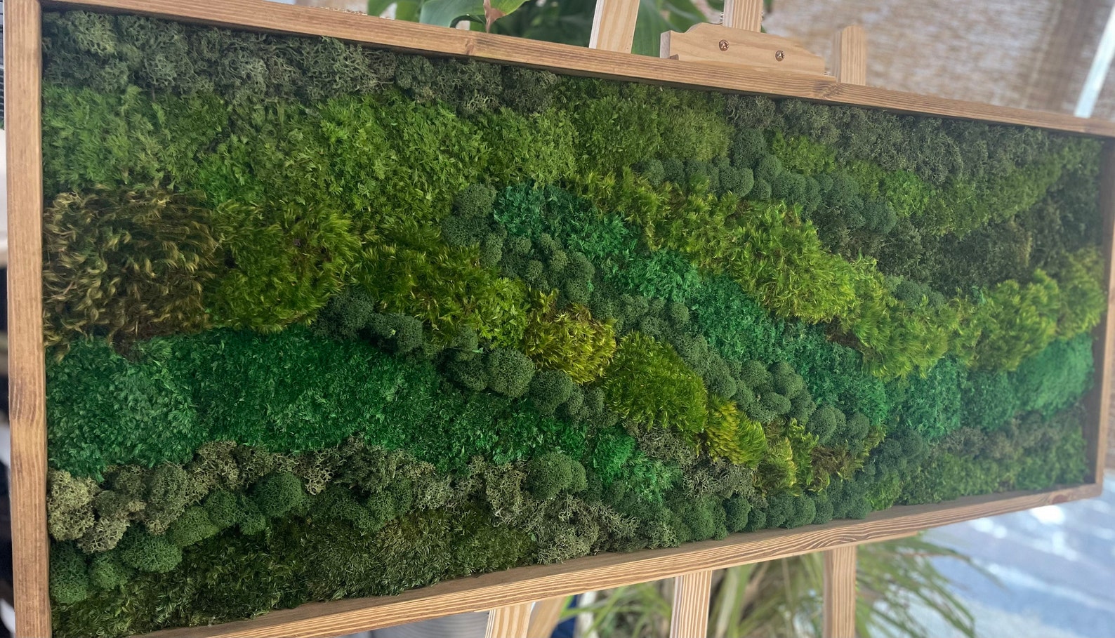 Preserved Moss Wall Art: Real Moss Home Decor, No Care - Etsy