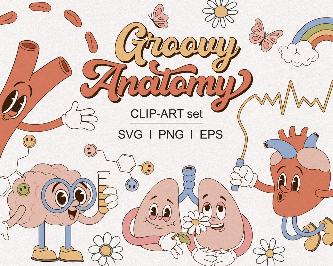 Groovy Retro Human Organ Anatomy Heart Brain Lungs Liver Stomach Kidney ...